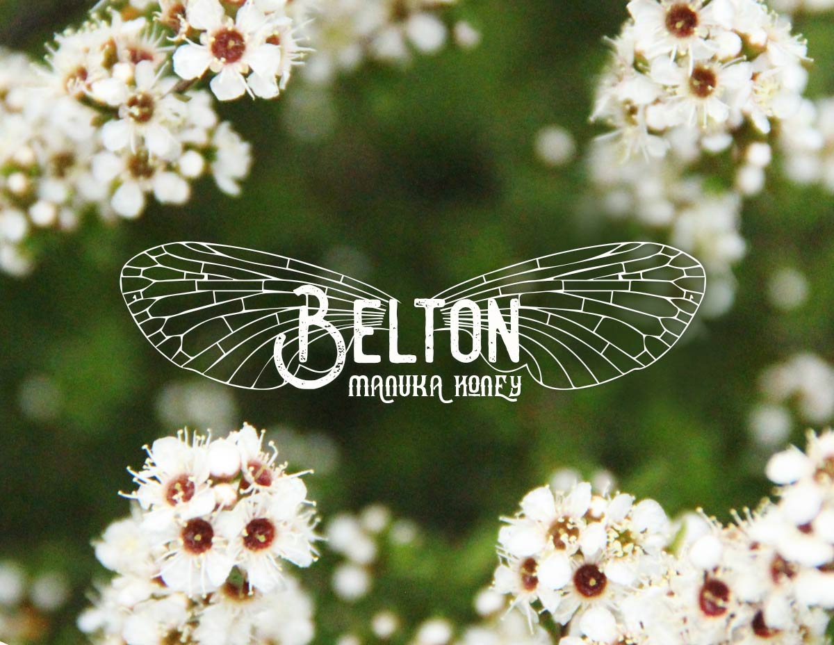 Index of /projects/logos/